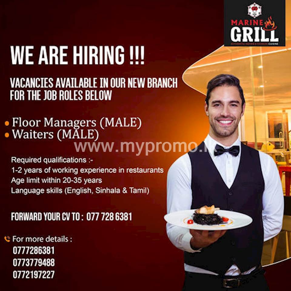 Floor Managers / Waiters at Marine Grill