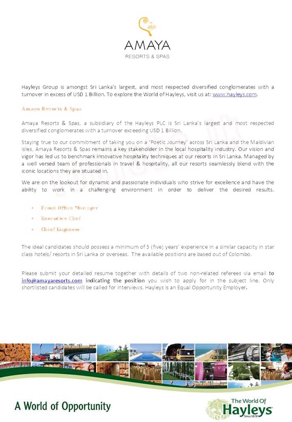 Vacancies at Hayleys Group