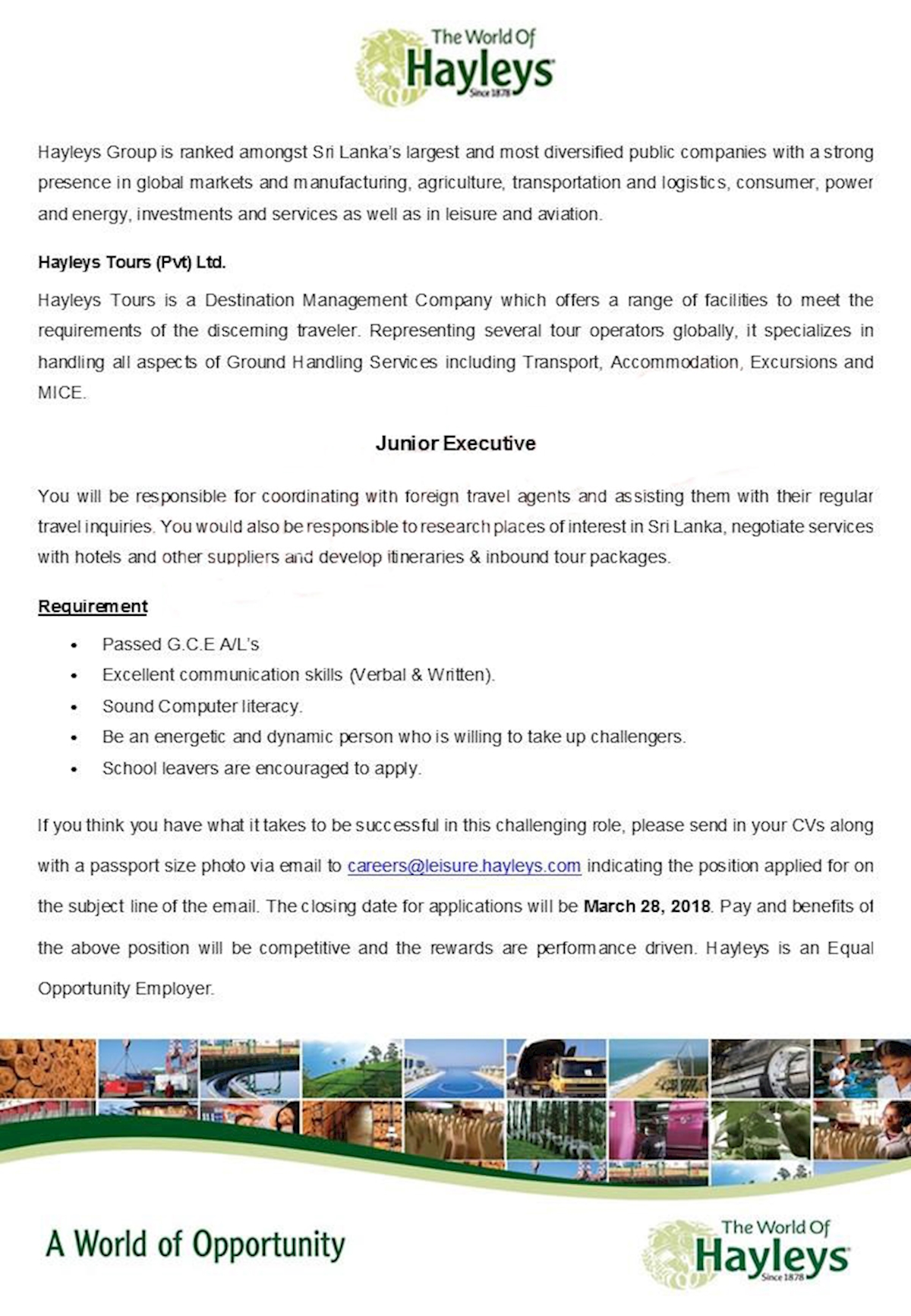 Junior Executive at Hayleys Group