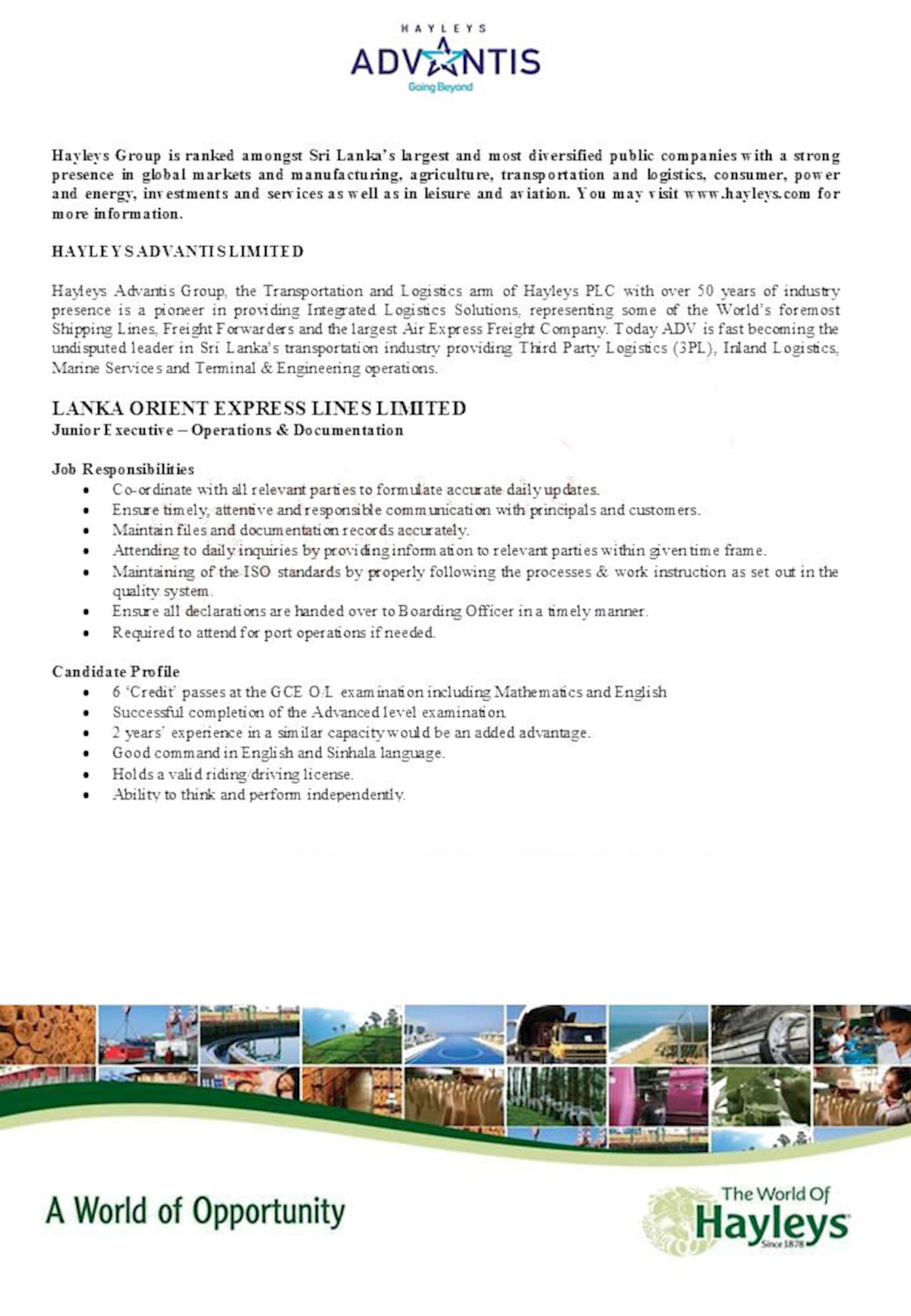 Junior Executive - Operations and Documentation at Hayleys Advantis