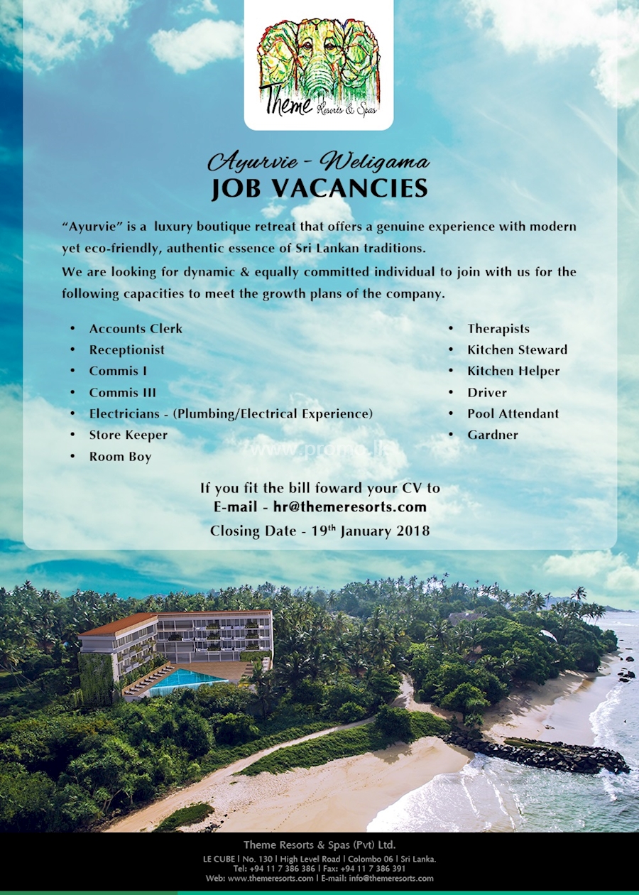 Hotel Vacancies at Theme Resorts & Spas