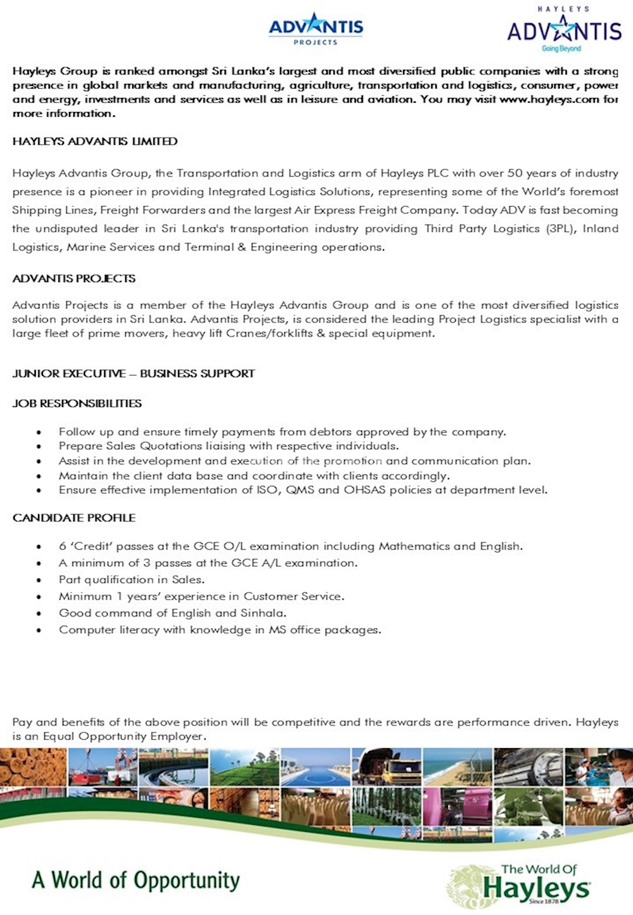 Junior Executive - Business Support at Hayleys Advantis