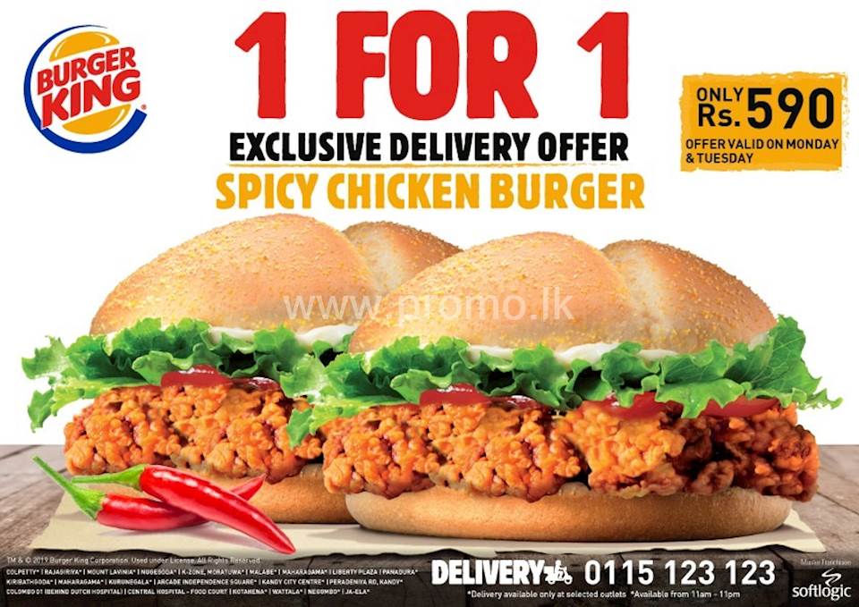 Exclusive Delivery Offer from Burger King! Grab a Delicious Spicy ...